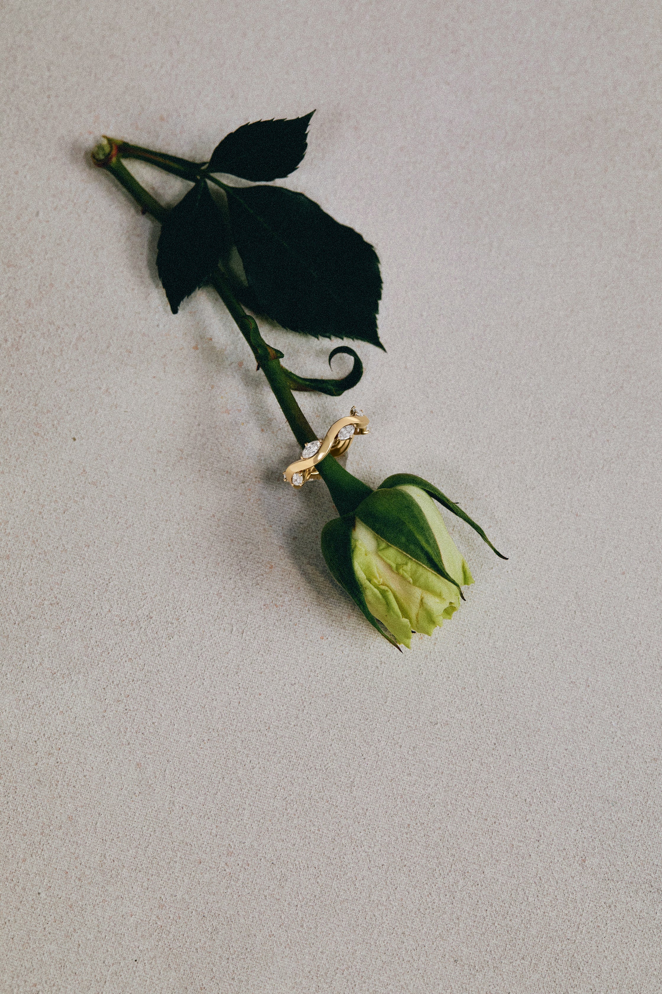 Bestsellers – RENNA